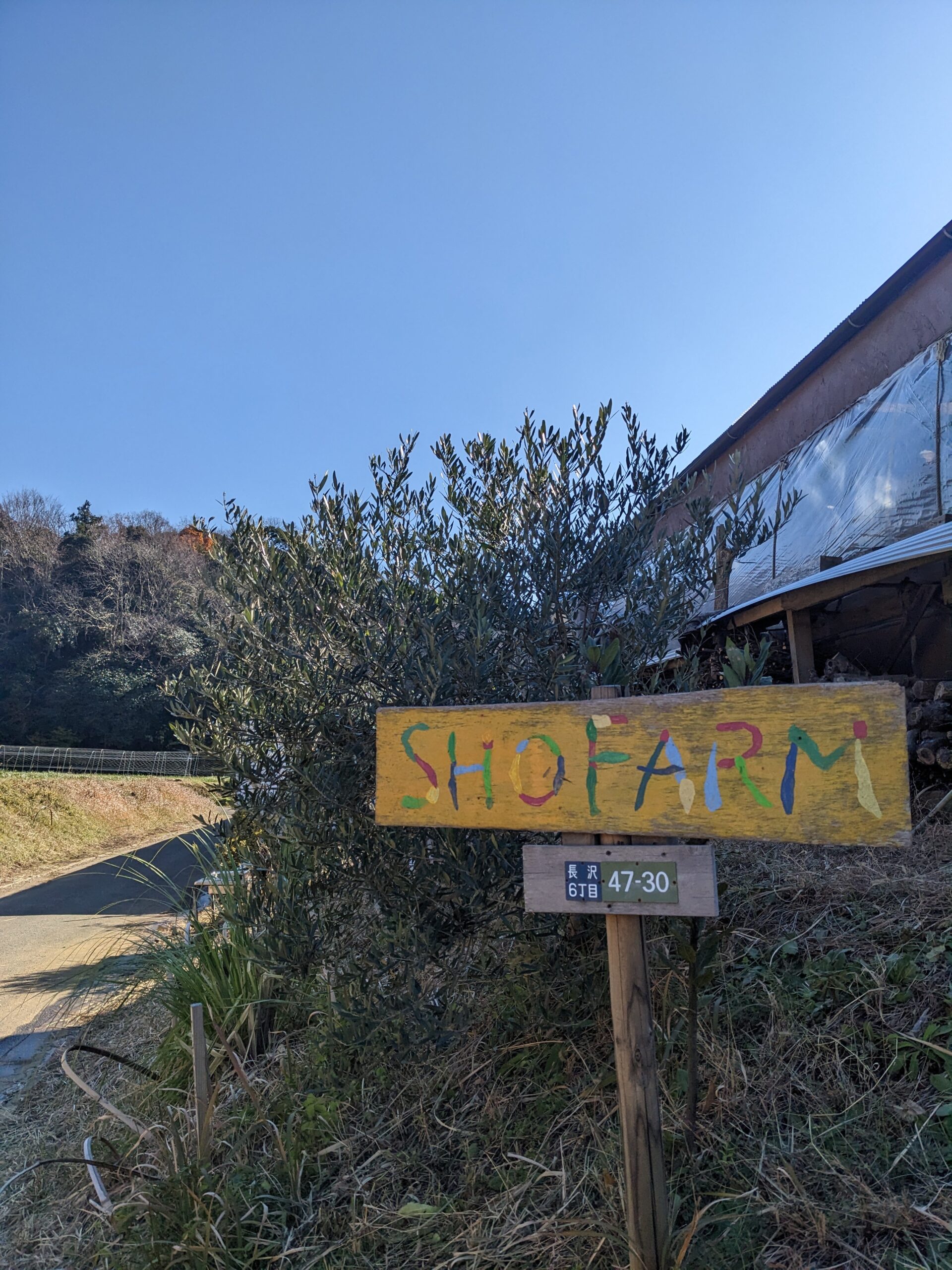 千年続く農業をビジョンに農を営む SHO Farm - みんな大地